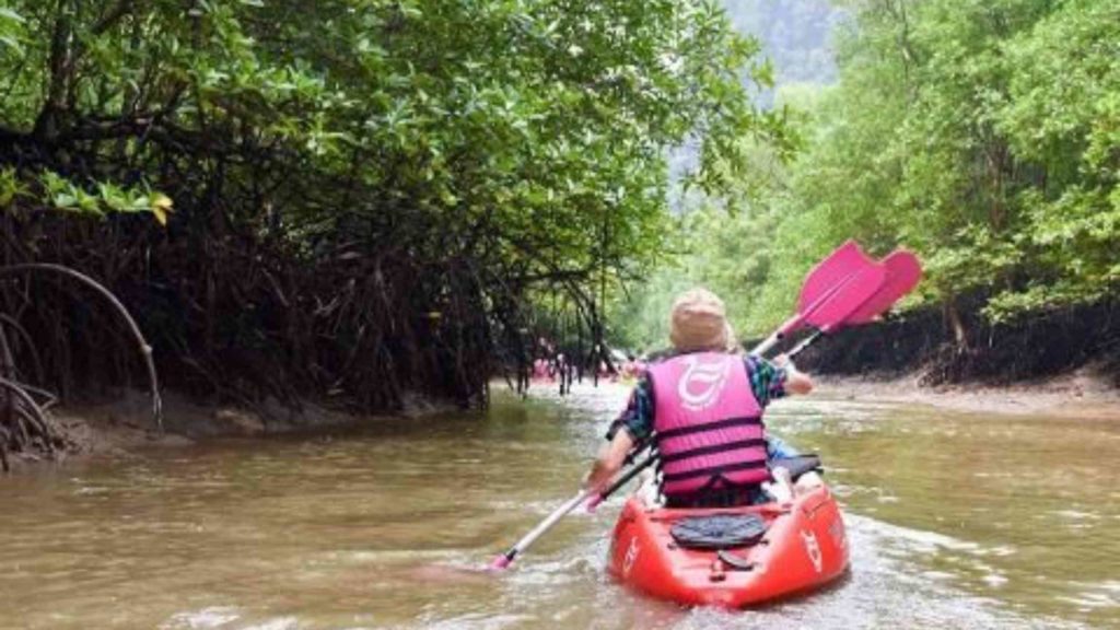 Kayaking the Mangrove Forests and Sea Caves or Bor Thor | Tripseed