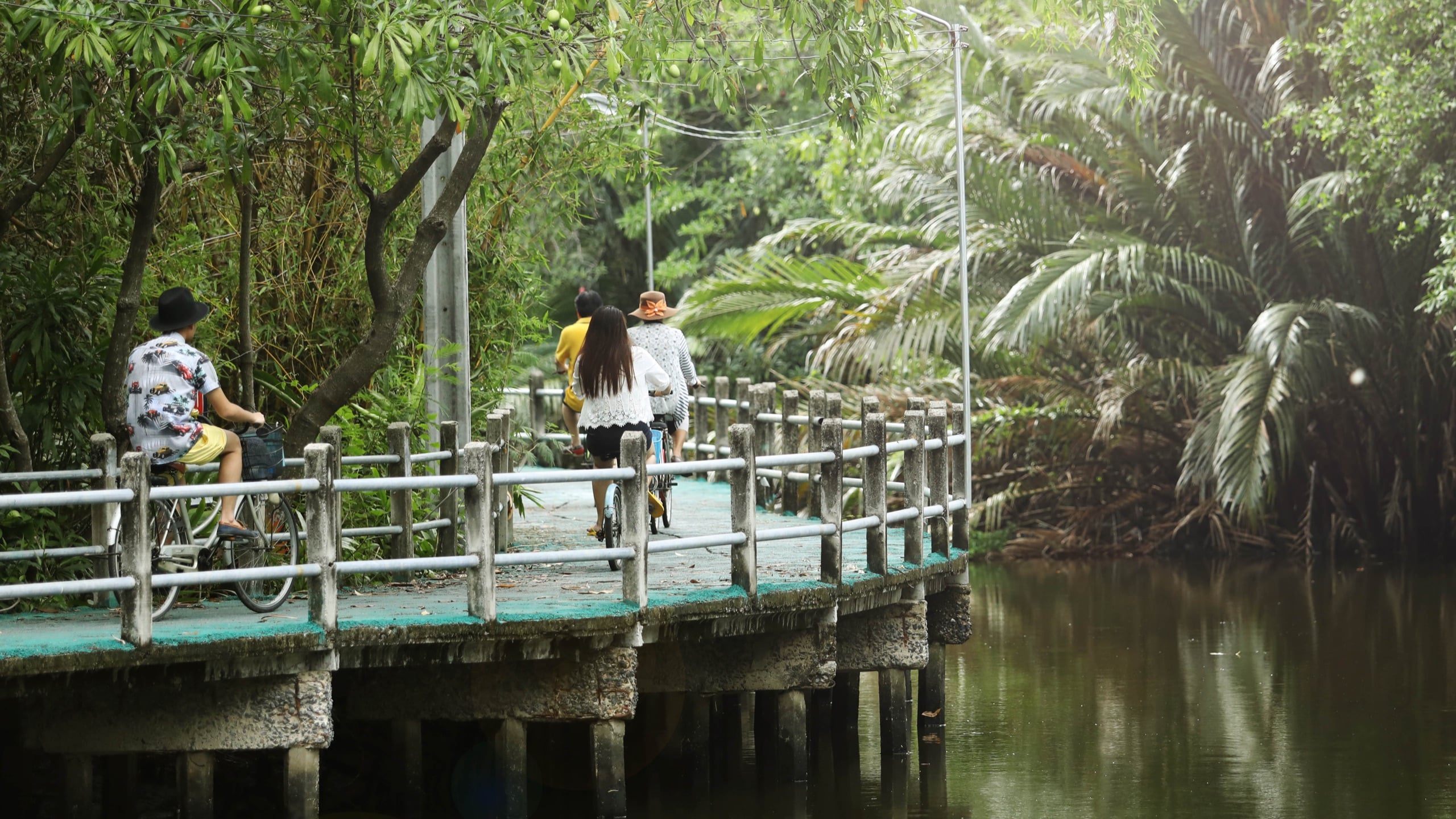 Bike Bangkok: The Mangrove Forests of Bang Krachao | Tripseed